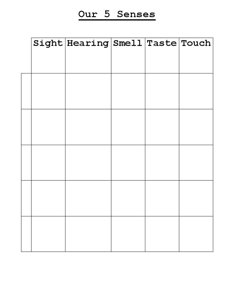Exploring Our 5 Senses: Sight, Sound, Taste, Touch, Smell | PDF