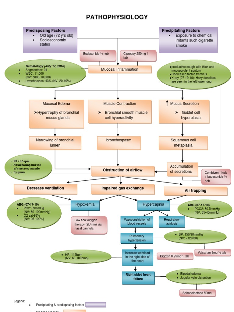 49995456 Copd Pathophysiology Diagram