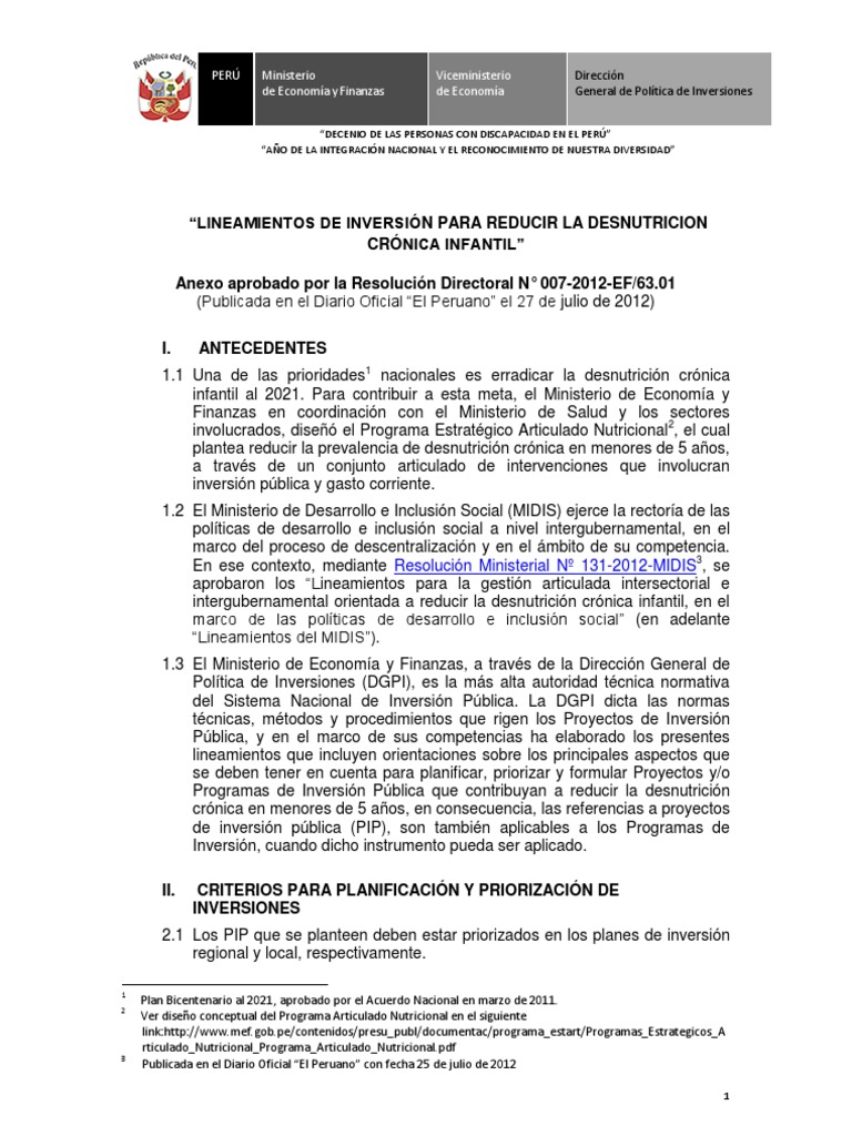 Lineamientos de Inversión | PDF