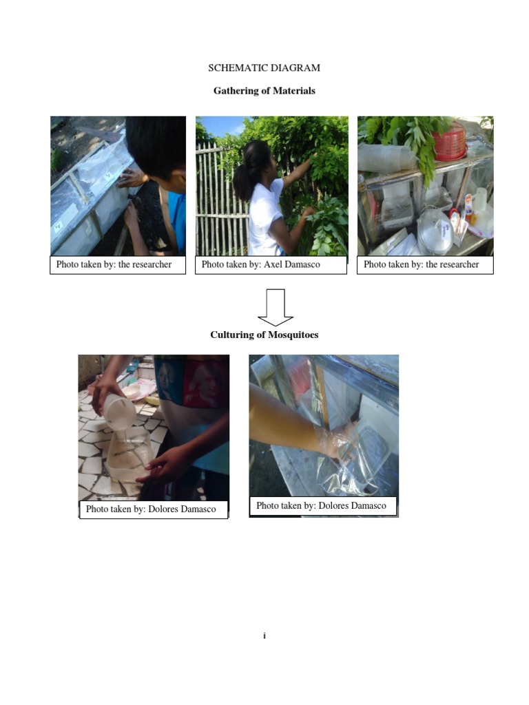Gathering of Materials: Schematic Diagram | PDF