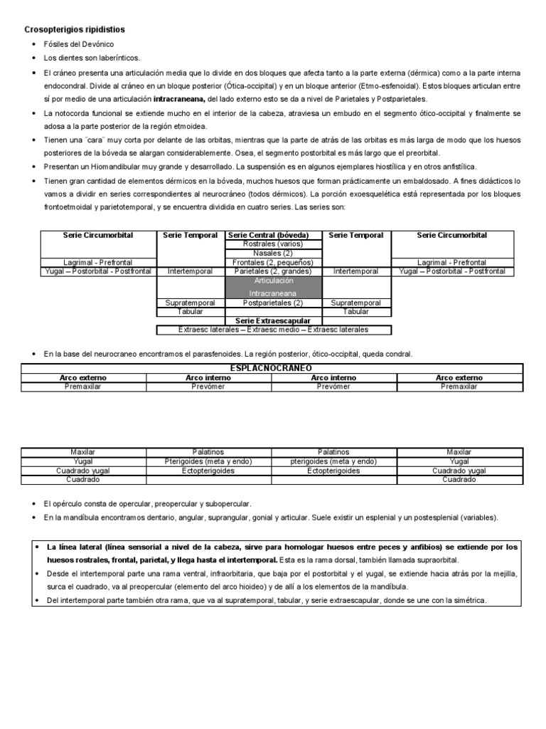 Crosopterigios Ripidistios | PDF | Anatomía de los primates | Cabeza y ...