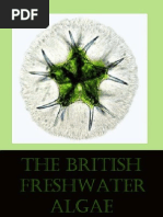 Polychaeta Identification Guide | PDF | Anatomical Terms Of Location ...