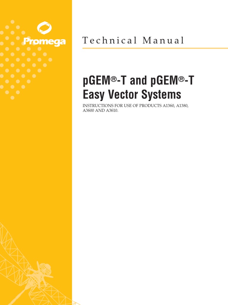 Pgem-T Easy Vector Systems Protocol | PDF | Polymerase Chain Reaction | Molecular Cloning