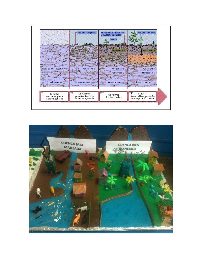 Cómo Se Forma El Suelo | PDF | Hogar, jardinería y bricolaje | Ciencia ...