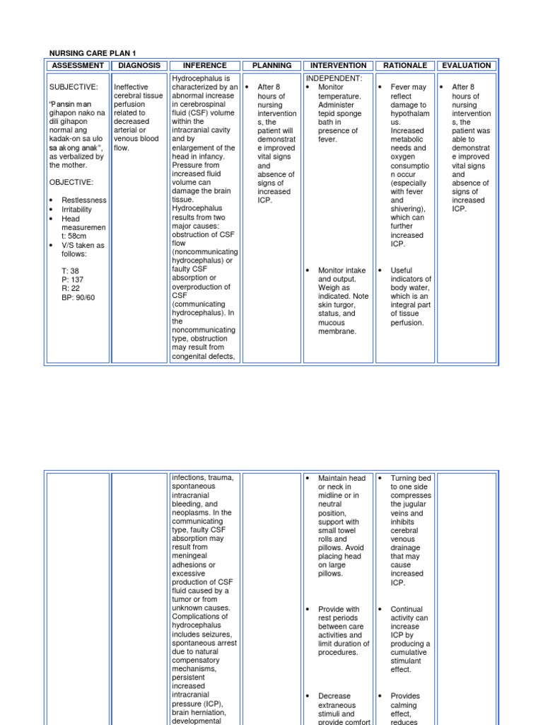 Nursing Care Plan 1 | PDF | Cerebrospinal Fluid | Clinical Medicine