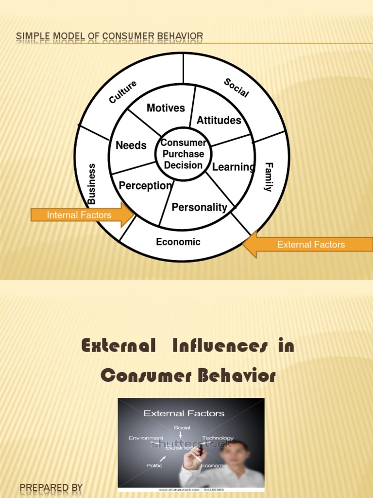 Consumer Behaviour-External Factors | PDF | Consumer Behaviour | Behavior