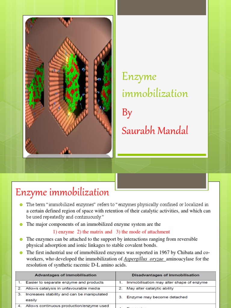 Enzyme Immobilisation | PDF | Adsorption | Molecular Binding