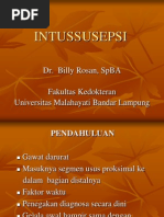 Meteorismus 1 | PDF | Kesehatan Holistik