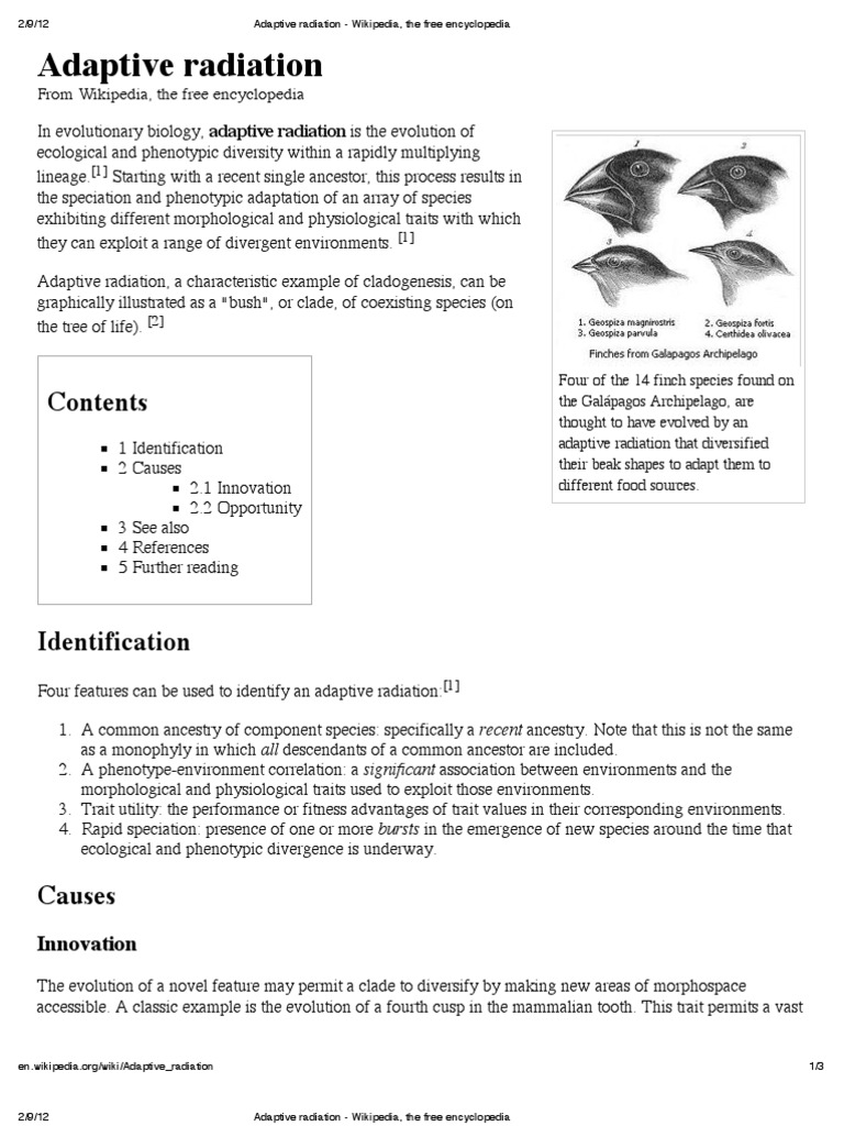 Adaptive Radiation Wikipedia Evolutionary Biology Biological