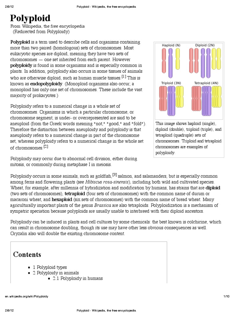 Polyploid - Wikipedia | Ploidy | Chromosome