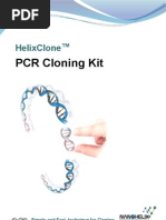 DH5α Competent Cells Transformation Guide | PDF | Transformation ...