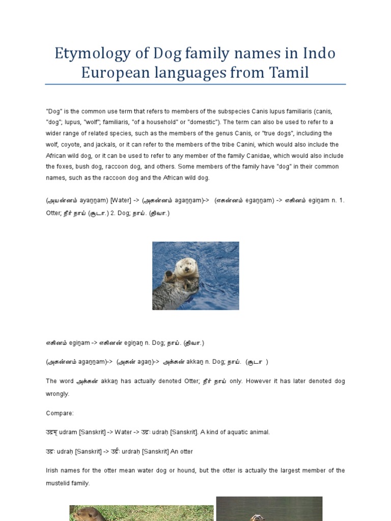 Etymology of Dog, Canis, Svan, Wolf, Fox | PDF | Canidae | Canis