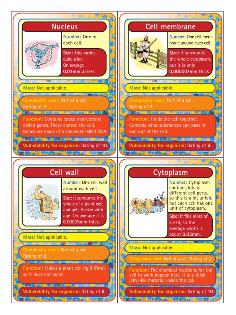 Nucleus Cell Membrane: Each Cell. Brane Around Each Cell | PDF ...