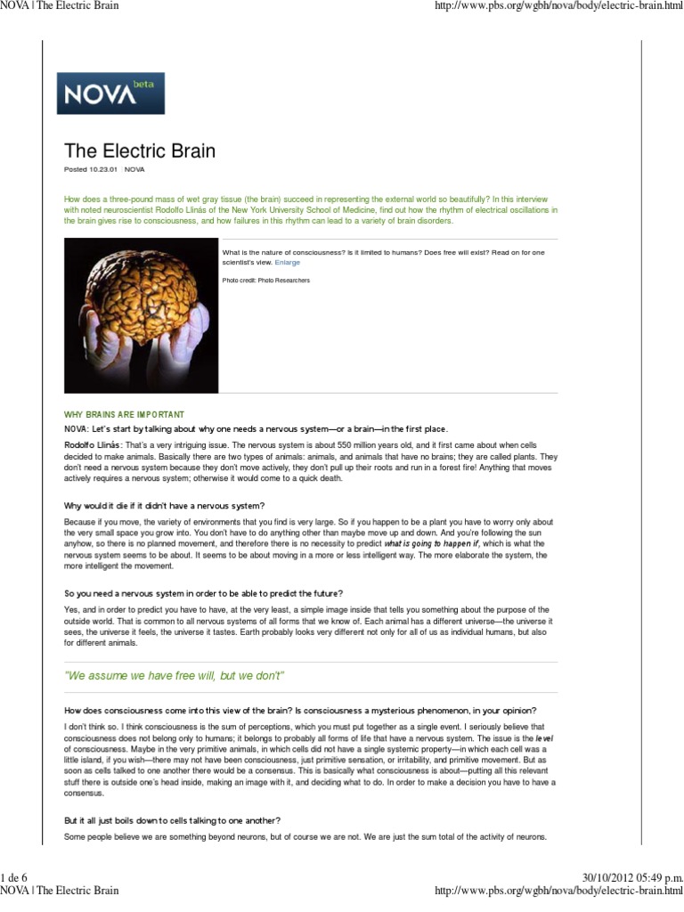 The Electric Brain | PDF | Brain | Consciousness