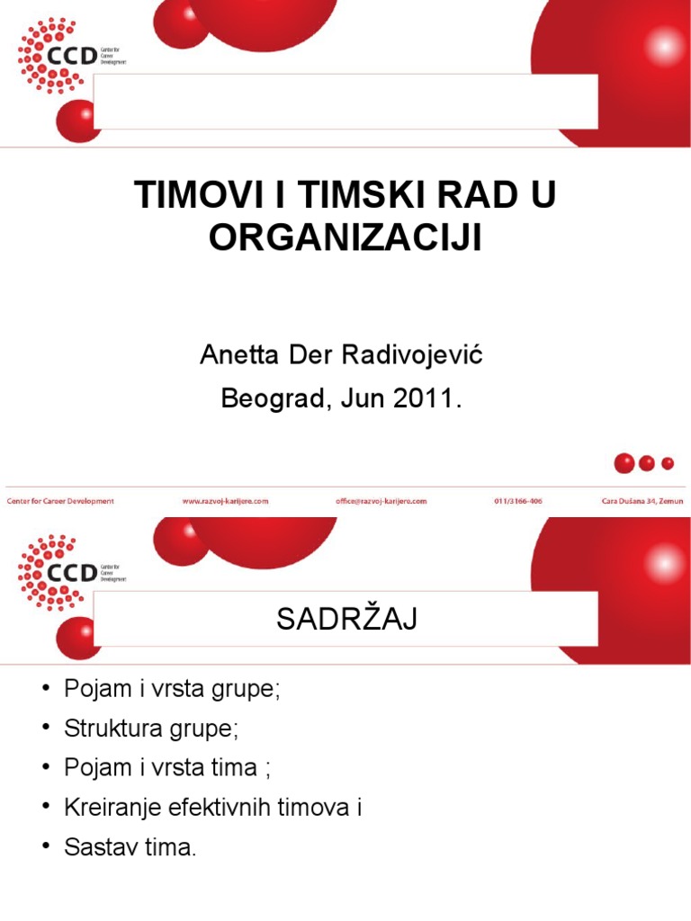 Timovi I Timski Rad | PDF