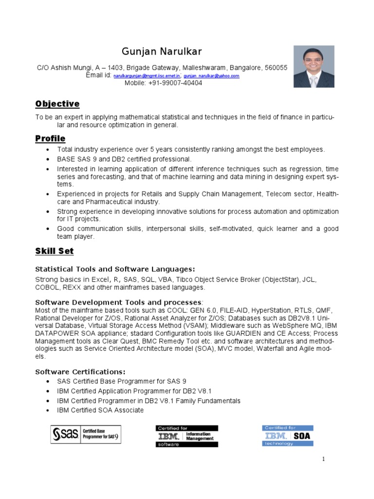 Sample Resume | PDF | Sas (Software) | Ibm Db2