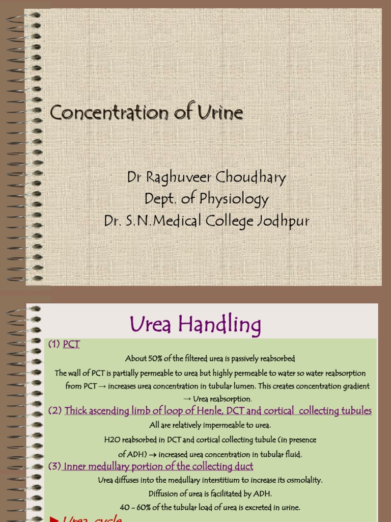 Counter Current Mechanism | PDF | Kidney | Organ (Anatomy)