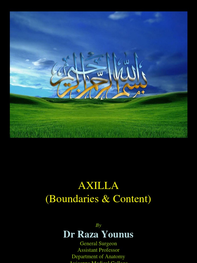 Axilla Anatomy: Boundaries & Contents | PDF | Arm | Lymphatic System