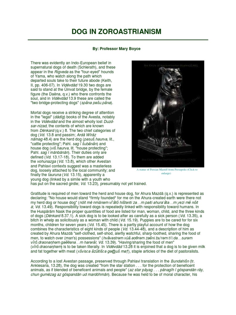 Dog in Zoroastrianism | PDF | Zoroastrianism | Dualism