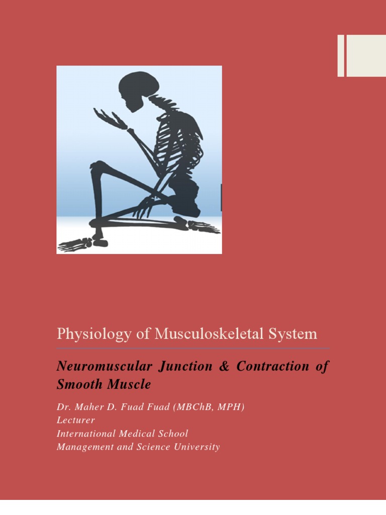 Musculoskeletal Physiology | PDF | Muscle Contraction | Acetylcholine
