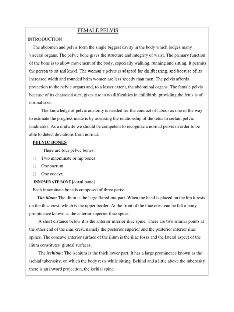 Seminar On Female Pelvis and Pelvic Floor | PDF | Pelvis | Vertebral Column