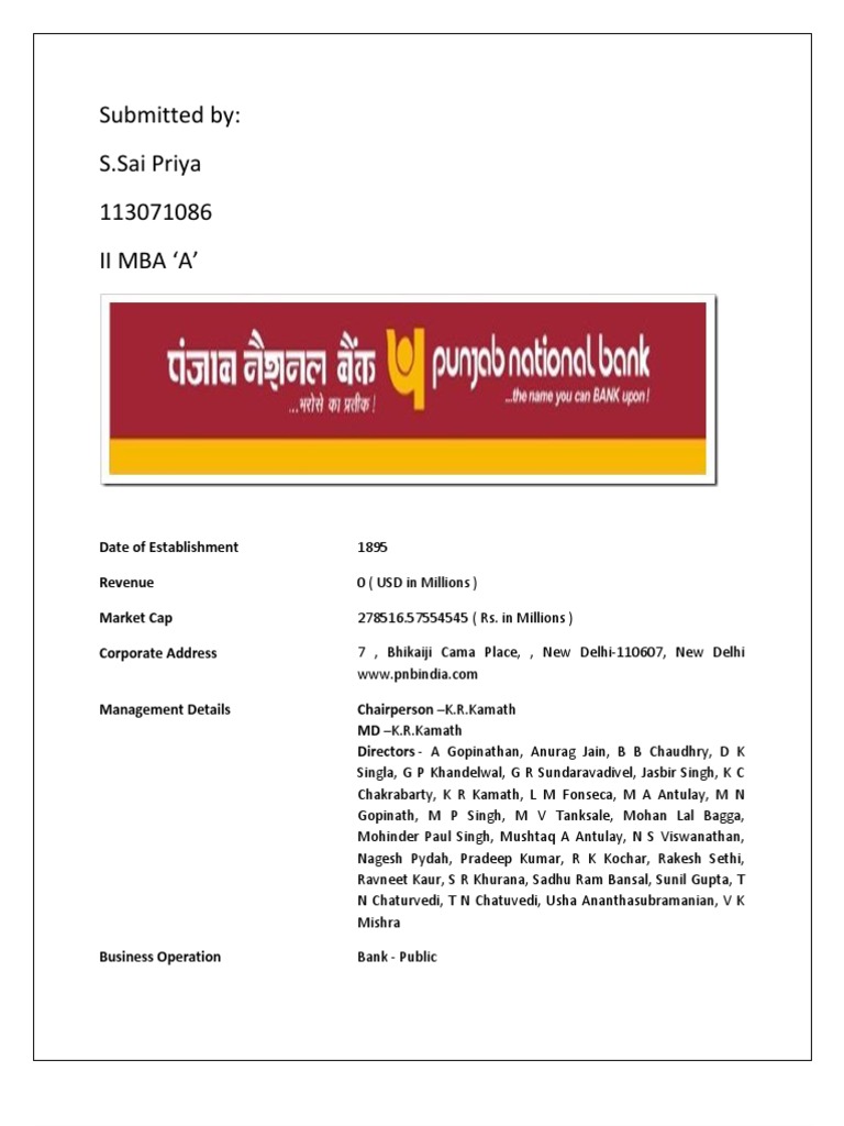 PNB Profile | PDF | Capital Requirement | Banks