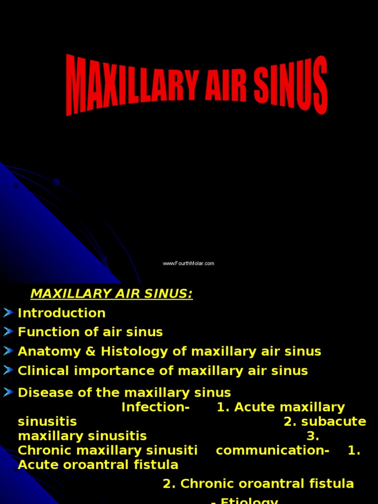 Maxillary Air Sinus Oral | PDF | Human Nose | Primate Anatomy