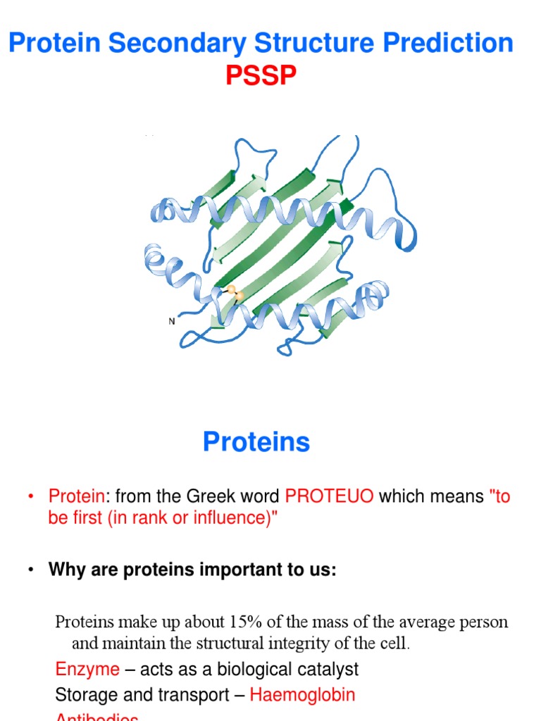 Protein Secondary Structure Prediction