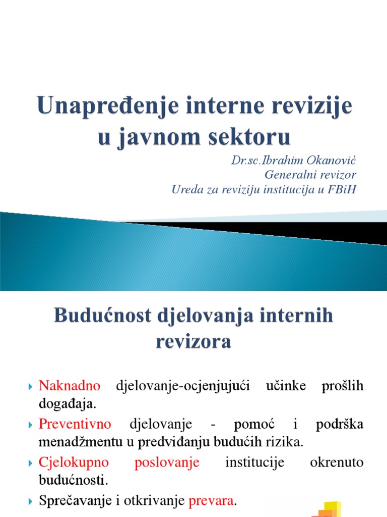 Interna Revizija | PDF