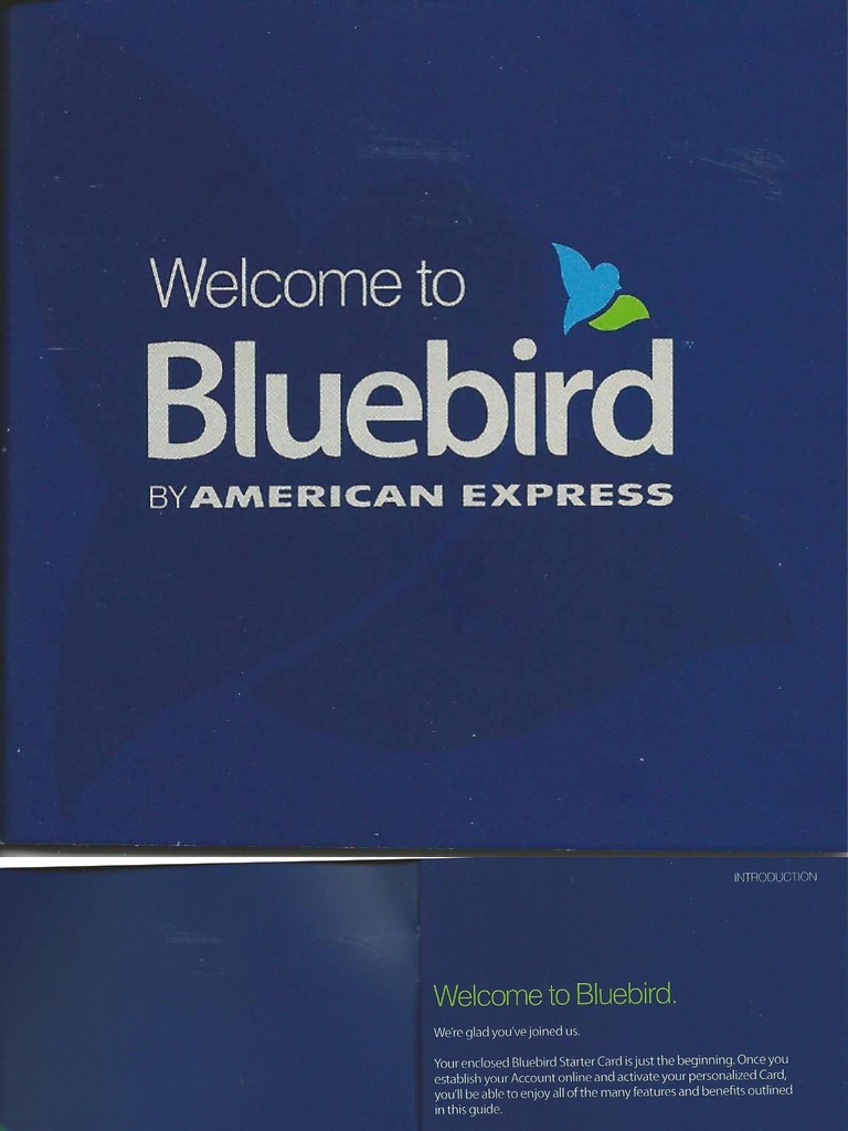 American Express Bluebird Guide | Download Free PDF | American Express ...