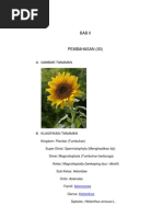 Morfologi Dan Anatomi Bunga Sepatu | PDF