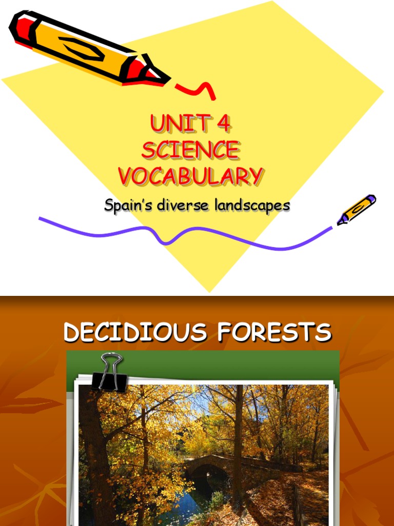 Spain's Diverse Forest Ecosystems | PDF | General Fiction