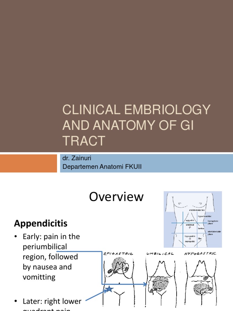 Clinical Embriology and Anatomy of Gi Tract Part1 | PDF | Pancreas | Liver