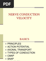 Bruce and Naughton Protocol | PDF | Physical Exercise | Cardiology