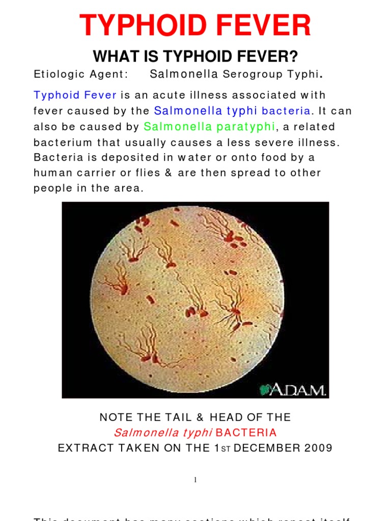 Typhoid Fever March 10 | PDF | Salmonella | Vaccines