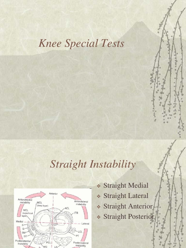 Knee Test | PDF