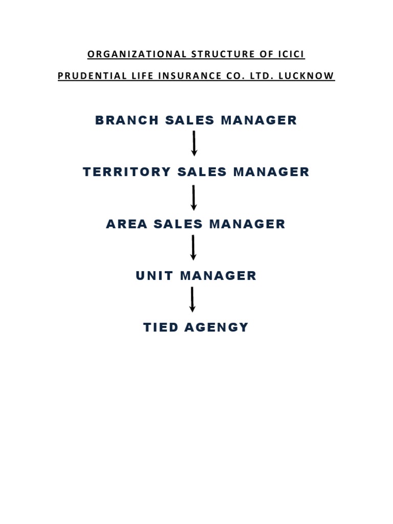 Organizational Structure of Icici | PDF