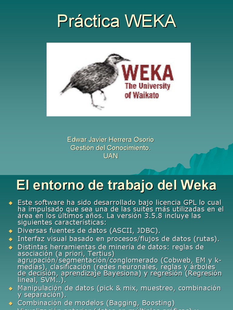 Tuto WEka | PDF | Red neuronal artificial | Informática