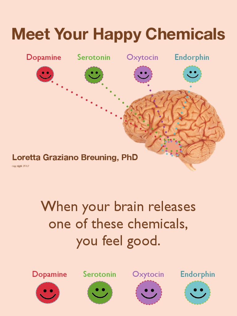 Happy Chemicals | PDF | Habits | Brain
