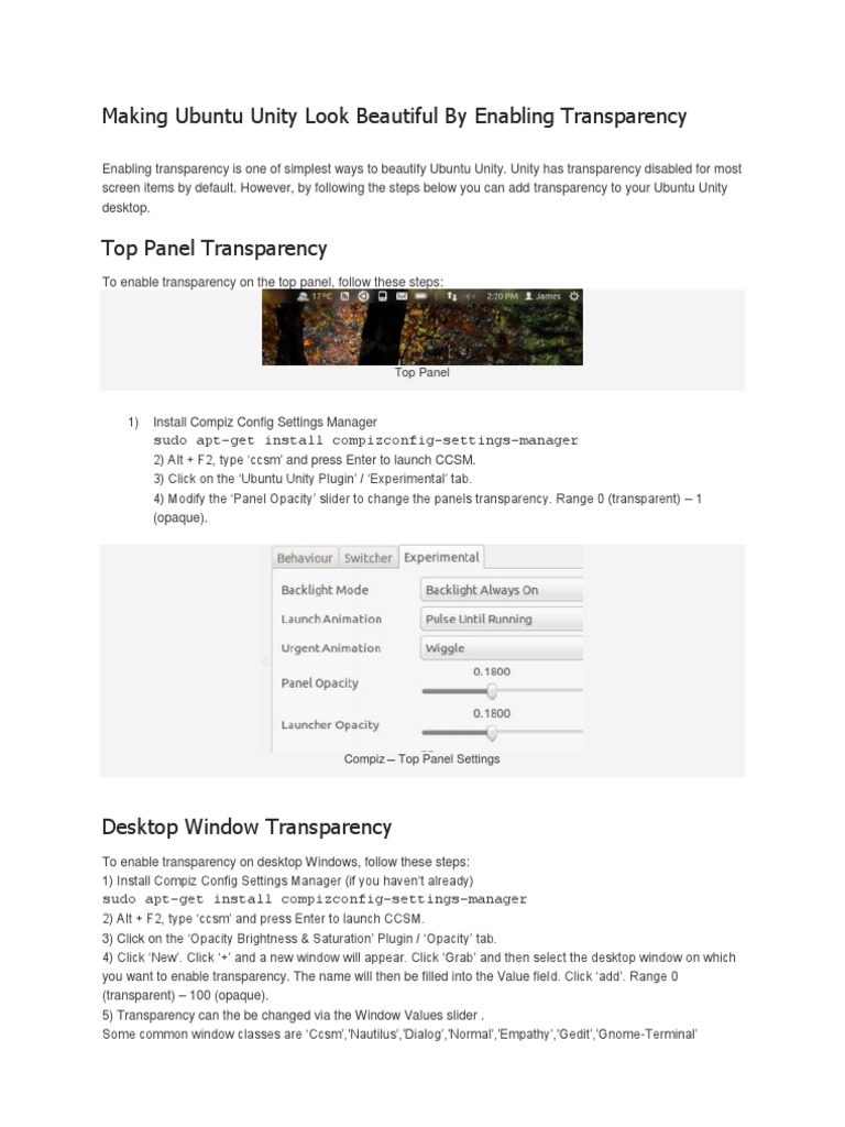 Making Ubuntu Unity Look Beautiful by Enabling Transparency | PDF ...