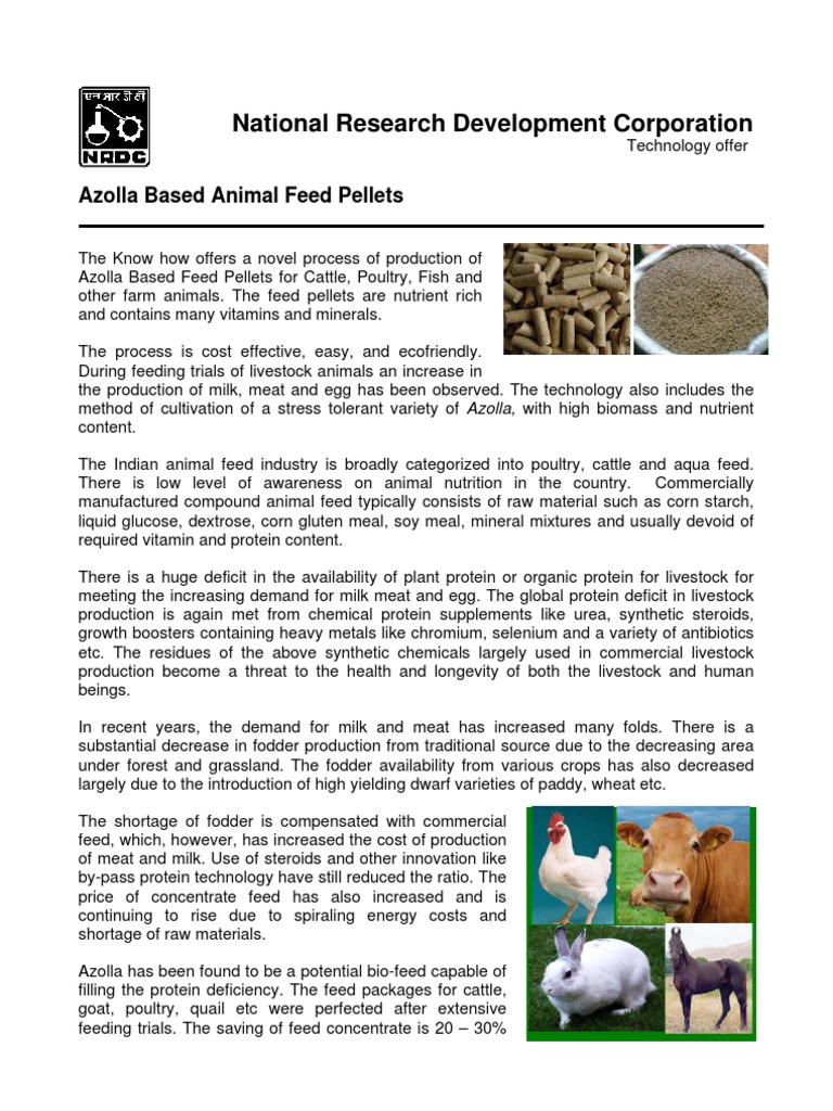 Animal Feed Pellets | PDF | Animal Feed | Livestock