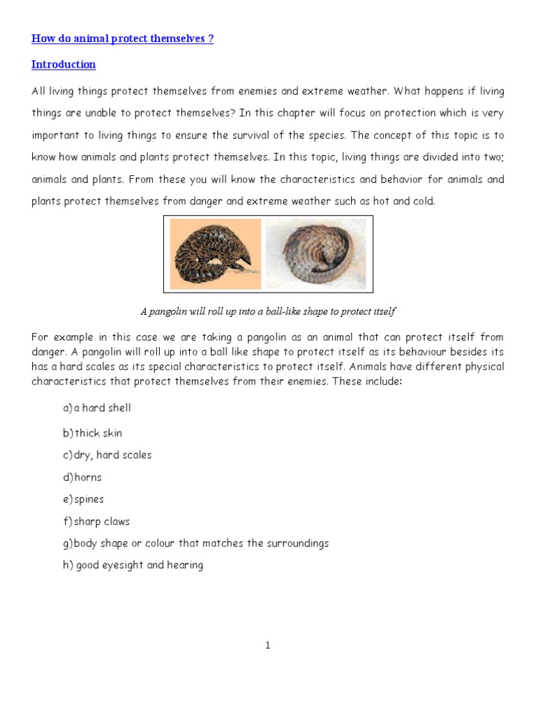 How Do Animal Protect Themselves | PDF | Habitat | Elephant