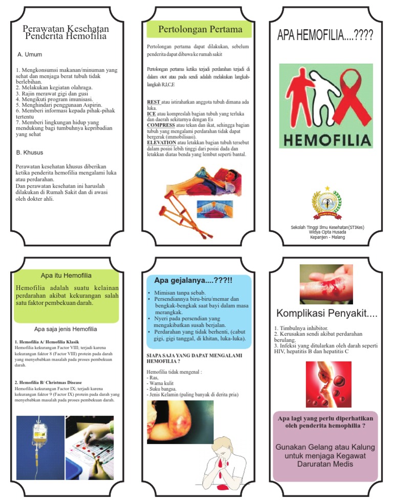 Leaflet Hemofilia | PDF | Sains & Matematika