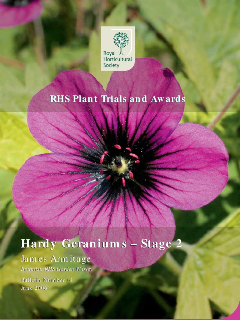 Geranium 06 | PDF | Plant Breeding | Cultivar