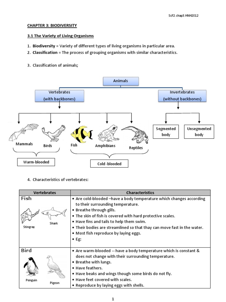 Chapter 3: Biodiversity 3.1 The Variety of Living Organisms: Segmented ...