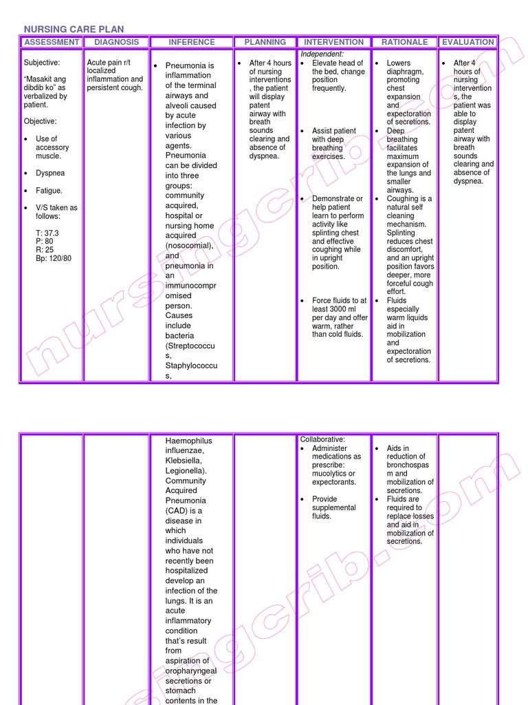 NursingCrib Nursing Care Plan Community Acquired Pneumonia