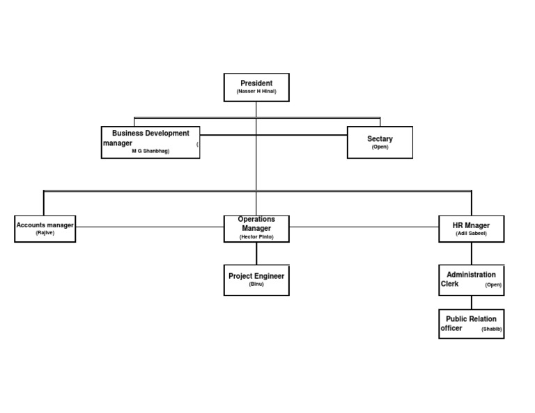 Organisation Structure | PDF
