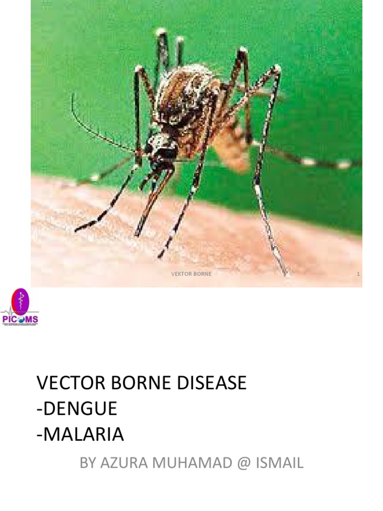 Vektor Borne | PDF | Malaria | Animal Diseases