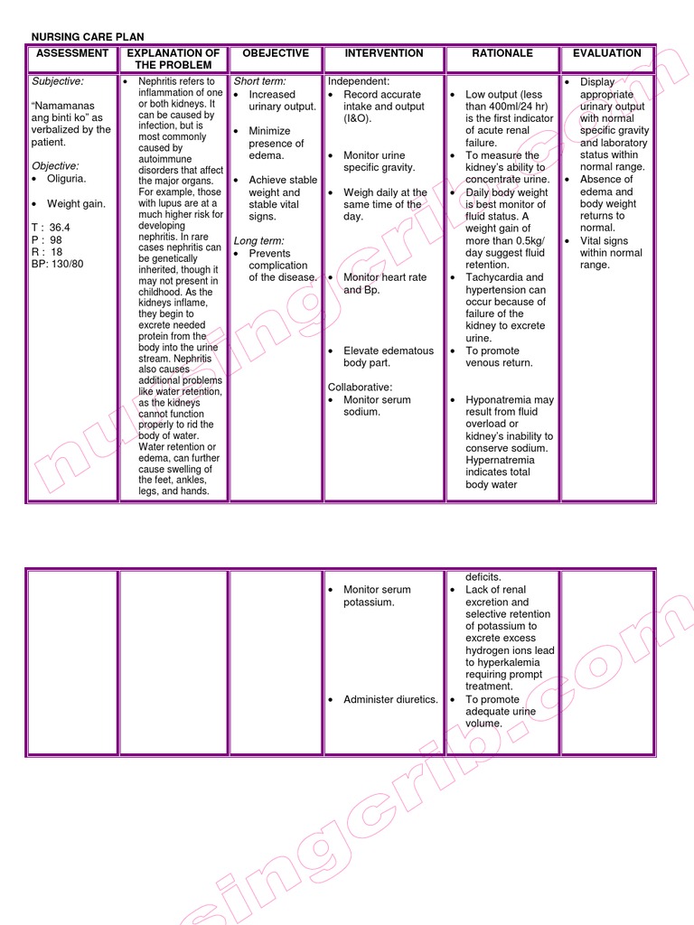 Nephritis Nursing Care Plan | PDF | Kidney | Edema