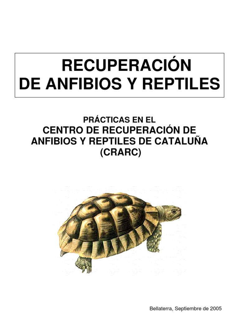 Anfibios y Reptiles-Cuaderno Docente-05 PDF | PDF | Naturaleza | Bienestar